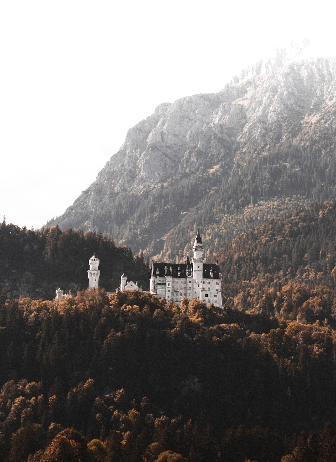 Services – Making Hannah